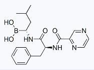 China Bortezomib CAS 179324-69-7 Antineoplastic Agents High purity Raw Material for sale