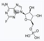 China offer Fludarabine Phosphate cas no 75607-67-9 for sale