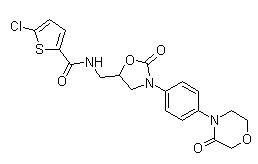 China Supply  Rivaroxaban  cas no  366789-02-8 for sale