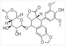 China professional offer  Antineoplastic Agent  Etoposide,TENIPOSIDE cas no 33419-42-0 for sale