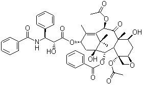 China professional offer  Antineoplastic Agent  Paclitaxel cas no 33069-62-4 for sale
