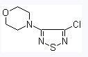China offer intermediate 3-Morpholine-4-chloro-1,2,5-thiadiazole cas no 30165-96-9 for sale