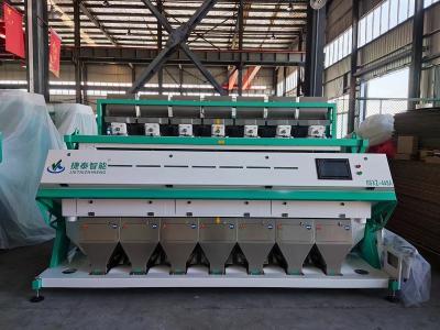 中国 セリウムの高精度の自動色の分類機械シュートの色の選別機 販売のため