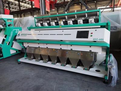 Cina Macchina 10T/H del selezionatore di colore del grano del miglio dell'avena del mais in vendita