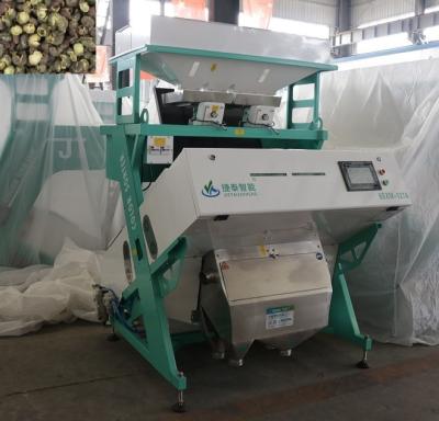 Cina Selezionatrice automatica di pepe per selezionatrice di colori per aglio RGB in vendita