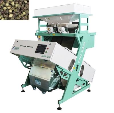 Cina Selezionatrice automatica di pepe per selezionatrice di colori per aglio RGB in vendita