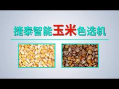 Sorting Corn