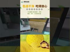 Macchina selezionatrice di colore del grano dello scivolo del CCD 1 per lo smistamento dell'alimento 260kg