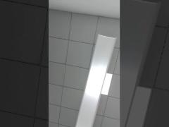 B46