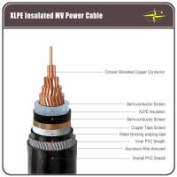 China Customized Armoured Electrical Aluminium Conductor Cable , Armored Power Cable for sale