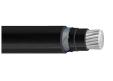 China Distribution Lines Armoured Electrical Cable , Aluminium Armored Cable for sale
