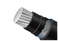 China Distribution Lines Armoured Electrical Cable , Aluminium Armored Cable for sale