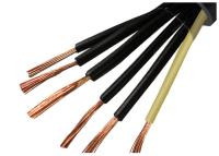 China Copper Wire Screened Control Cables , XLPE Insulation Cable Eco Friendly for sale