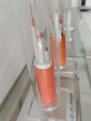 中国 BBTRZ MICC ミネラル絶縁銅おおおわれたケーブルの高温抵抗力がある 販売のため