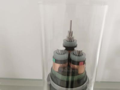 Câble de Xlpe de noyau du souterrain 4 de 1KV IEC60502-1