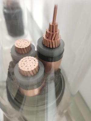 China Circular Conductor Shape Crosslinked Polyethylene Insulated Cable The Ultimate Solution for Your Power Needs for sale