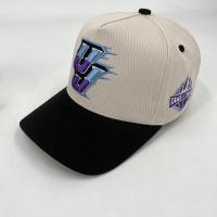China Personalized Baseball Caps Custom 5 Panel Cotton With 3D Embroidery Snap Back for sale
