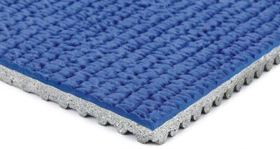 China Rubber Running Track Prefabricated Athletic Running Track Flooring Material 01e21073001 for sale