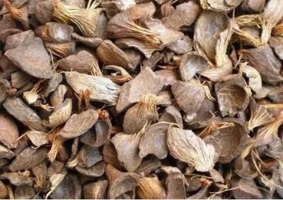 中国 高級ココナッツシェル バイオ炭炉 木炭製造機械 100kg/h インプット容量 販売のため