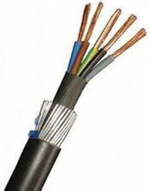 0.6/1 KV PVC Power Armoured Cable with Copper Conductor Low Voltage 12V Rating