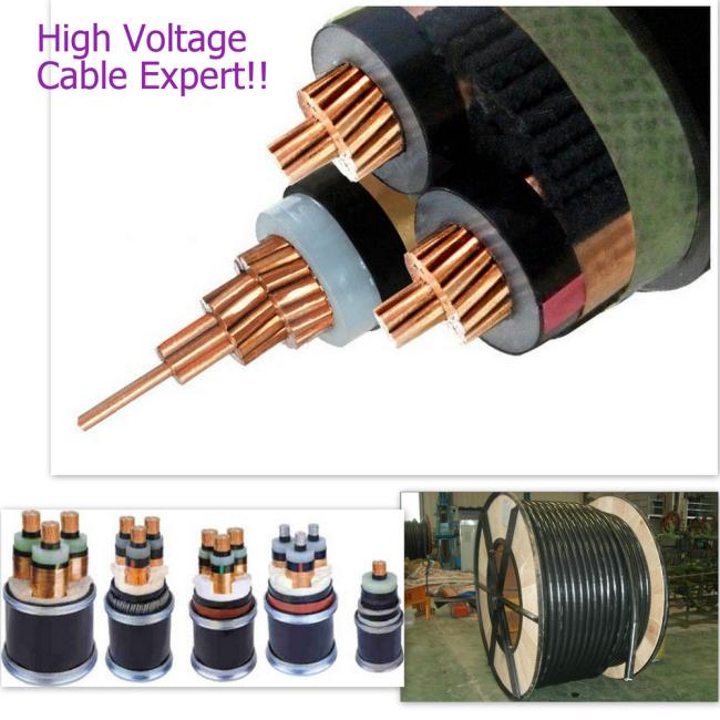 High Voltage 6KV Power Cable with Copper Conductor XLPE Insulation LSZH Sheath 70mm2 for Construction