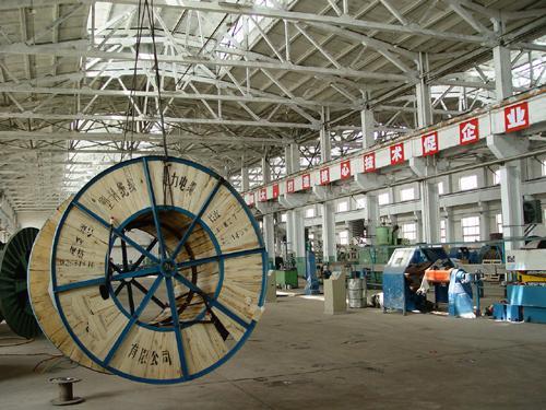 High Voltage 6KV Power Cable with Copper Conductor XLPE Insulation LSZH Sheath 70mm2 for Construction