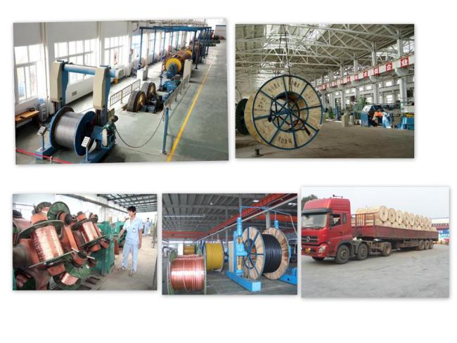 High Voltage 6KV Power Cable with Copper Conductor XLPE Insulation LSZH Sheath 70mm2 for Construction