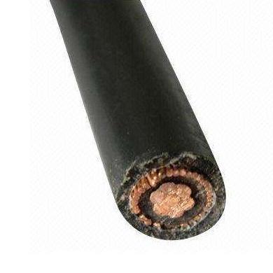 0.6/1kv Aluminum Concentric Service Cable with Neutral Screen 10mm2 PVC Insulated Electrical Wires AA Cables Concentric Design