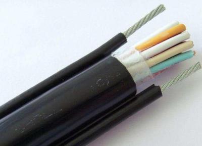 China 5000V FAA L-824 Type C Black Airfield Lighting Cables with non-sheild /screen CU/XLPE/PVC for sale