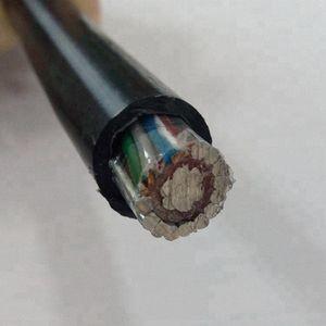 Quality Best Price Single-Phase Insulated Low Voltage Cable Concentric Type for sale