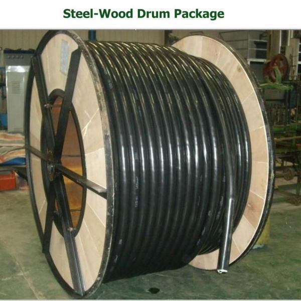 Quality CE Certified 25mm Copper Cable with PVC XLPE PE Insulation for Industrial Use for sale