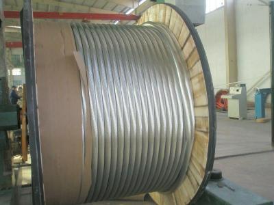 China China Leading Manufacturer's ACSR Cat Conductor Medium Voltage Aluminum Overhead Insulated with PE for sale