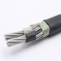China Concentric Design 10mm2 PVC Insulated Electrical Wires AA Cables with Neutral Screen for sale