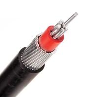 China Concentric Design 10mm2 PVC Insulated Electrical Wires AA Cables with Neutral Screen for sale