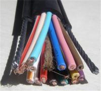 China 4mm Insulated Copper Conductor Pairs Twisted Control Cable for Precise Control System for sale