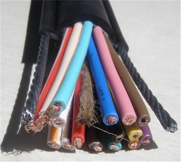 Quality 4mm Insulated Copper Conductor Pairs Twisted Control Cable for Precise Control for sale