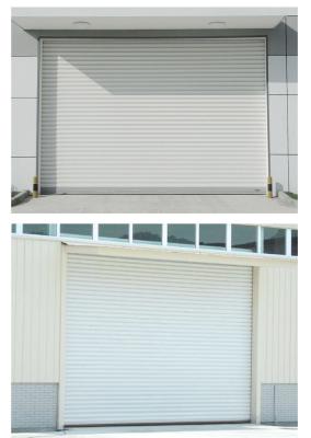 Китай металла двери шторки ролика 12X12m Windproof внешнего стального автоматическое сильное продается