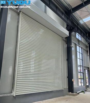 Китай Дверь хранения собственной личности Китая ручная или электрическая стальная ролика шторки продается