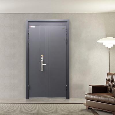China Modern Custom Steel Security Door with Custom Pattern Manual Open for Homes for sale