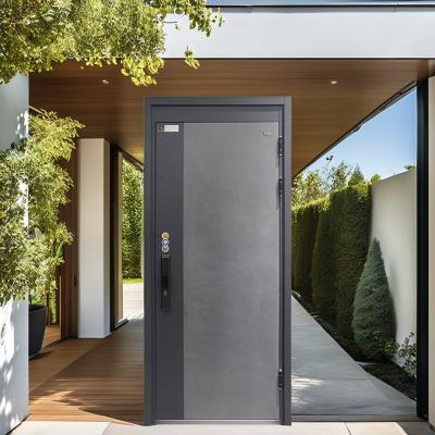 China Modern Finished Steel Security Door for House Exterior Manual Operation for sale
