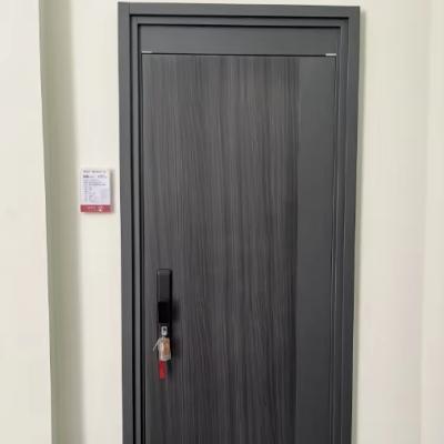 China Heat Transfer Surface Modern Steel Door Invisible Hinge Metal Frame for sale