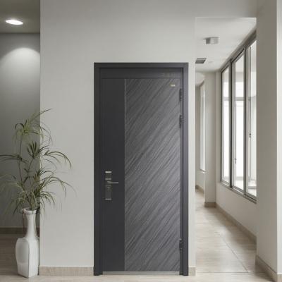 China Single Swing Steel Door High Security  Modern Outdoor  Visible/Invisible Hinge for sale
