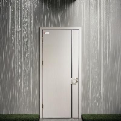 China Customized Modern Front Wood Door Extra Thick For House Interior for sale