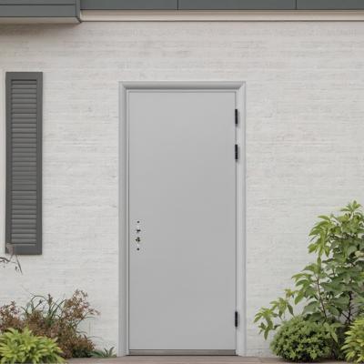 China Standard Size Steel Single Security Door Soundproof Modern Metal Door for sale
