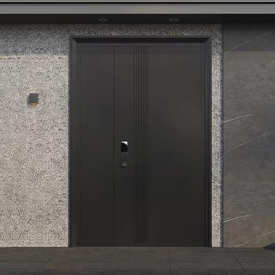 China Swing Modern Steel Entry Doors Secure Exterior Design Villa Front Door for sale