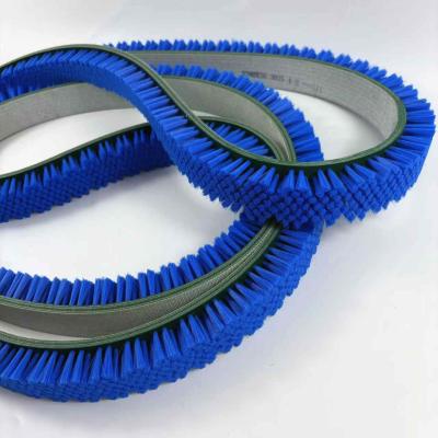 Cina Spazzola a nastro in nylon antigraffio per la pulizia di superfici delicate in vendita