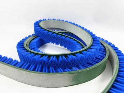 China Nylon Bristle Conveyor Belt Cleaner Brush For Treadmill for sale