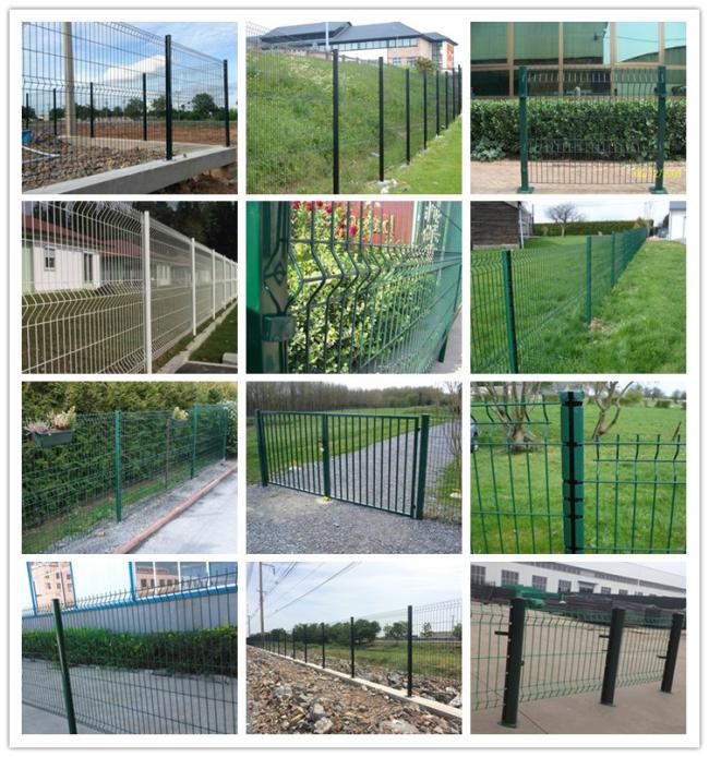 Cheap Galvanized Iron Wire Mesh Panel 3d Curved Houses Garden Perimeter Fence Manufacture