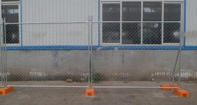 China 2.4m Length Australia Temporary Fence With 75x75mm Chain Link Mesh for sale