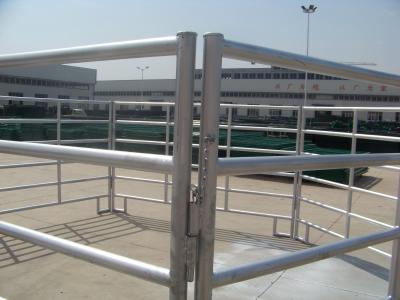 Cina Livestock Cattle 1.6m Metal Farm Gate Galvanized Steel Pipe Design in vendita